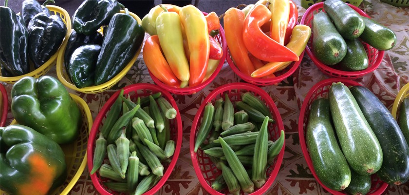 Pick Tennessee Products - PickTNProducts.org